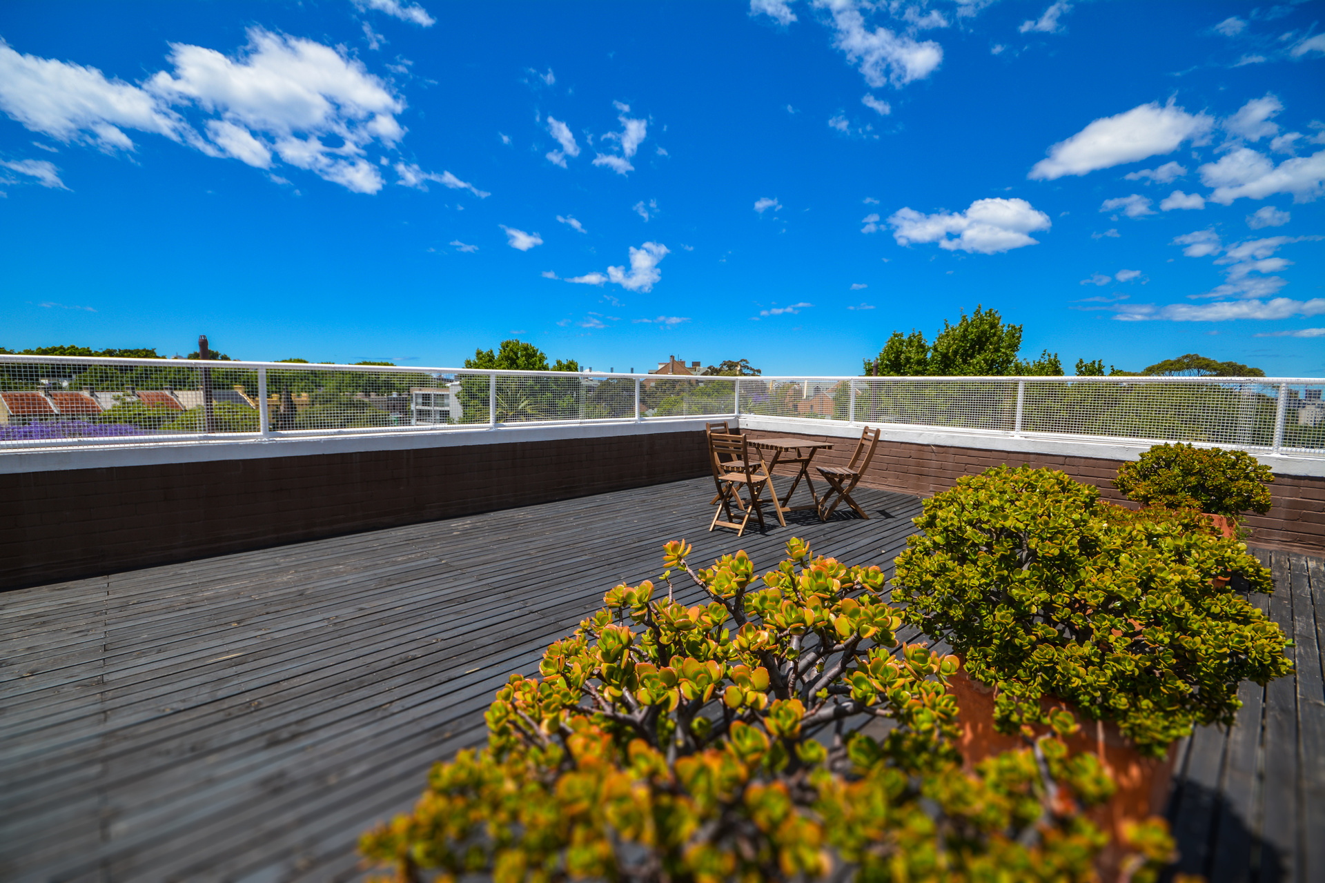 Apartment Leased - 36/360 Bourke Street, Surry Hills